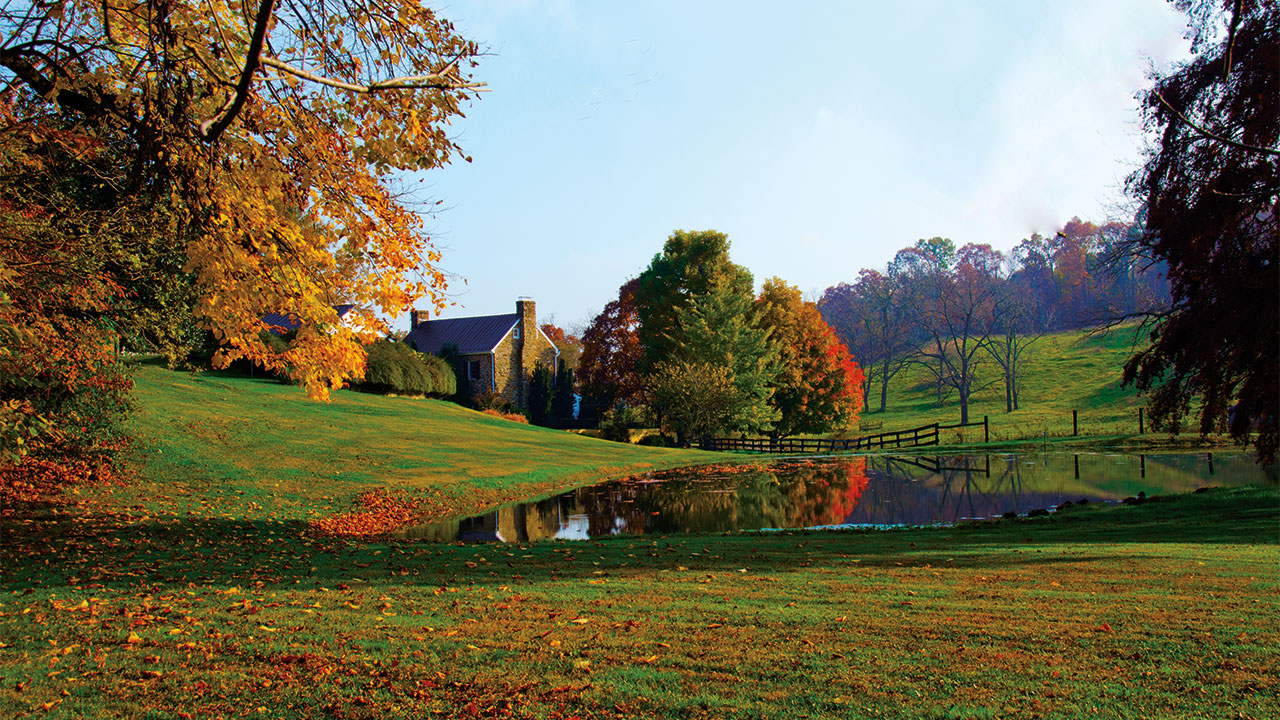 Home - Camillus House